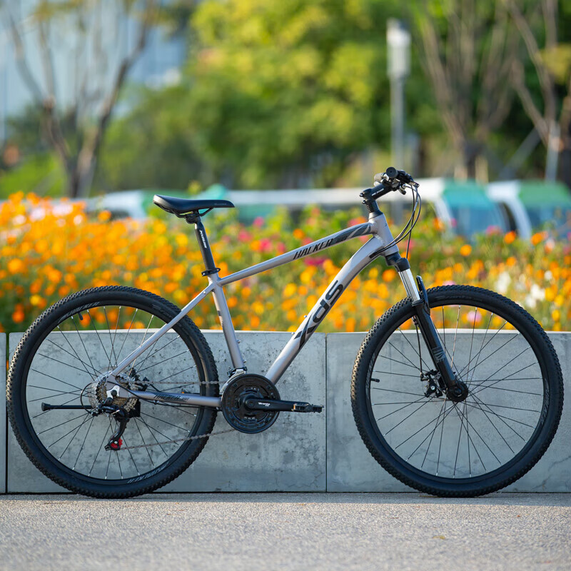 喜德盛和捷安特哪个好？深度剖析两大自行车品牌的优劣