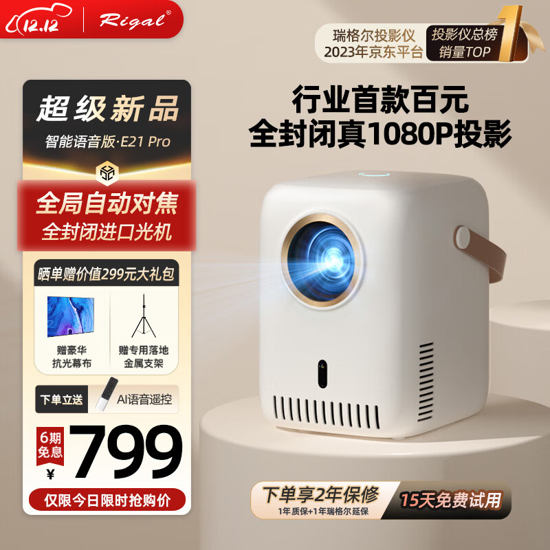 瑞格尔投影仪哪个型号最好